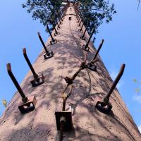 China Artificial Trees Telecommunication Q345 Steel Monopoles for sale