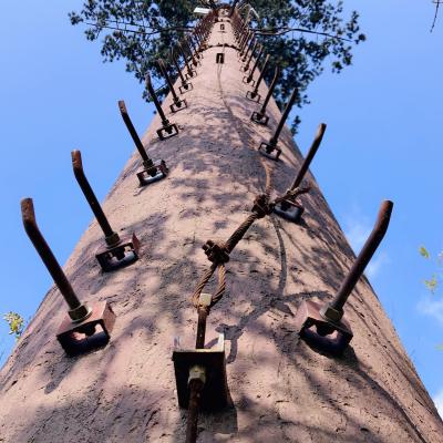 China Artificial Trees Telecommunication Q345 Steel Monopoles for sale
