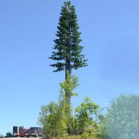 China Bionic Beautification Bionic Tree Communication Camouflage Tower for sale