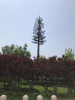 China Artificial Tree Telecommunication Monopole Camouflage Cell Tower for sale