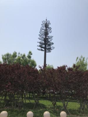 China 25m 30m 35m 40m Decorate Steel Monopole Tower for sale