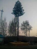 China Artificial Bionic Pine Tree Self Supporting Camouflage Cell Tower 10m for sale