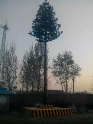 China Artificial Bionic Pine Tree Self Supporting Camouflage Cell Tower 10m for sale