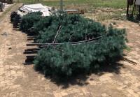 China Q345 Artificial Palm Tree Telecommunication Camouflage Cell Tower for sale