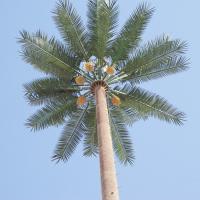 China 30 Meters Gsm Palm Tree Camouflage Cell Tower for sale