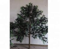 China 25m 30m Camouflaged Broadleaf Ficus Monopole Telecom Tower Hot Dipped Galvanized for sale