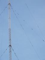 China Galvanised 50m Guyed Wire Tower Telecommunication Mast for sale