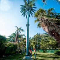China Galvanized Camouflage Tower Telecommunication Artificial Trees for sale