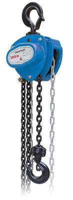China Manual Chain Block 1T Lightweight 5.3kg 4 1 Safety Factor for Easy Lifting for sale