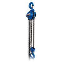 China 5mm Chain Diameter 2T 3m/min 12m Lift Manual Chain Block Powder Coated Hoist for sale