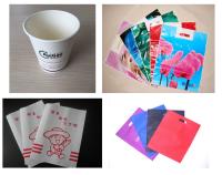 China High speed paper cup plastic bag two color flexo printing machine for sale