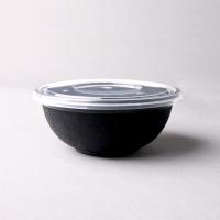 China Eco Friendly Disposable Plastic Food Storage Container Bento Box With Lid for sale
