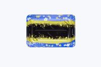 China Professional Manufacturer Recyclable Plastic Food Packaging Sushi Trays for Food Container for sale