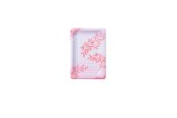 China Packaging wholesale disposable food packaging plastic container pet takeaway sushi packaging box/tray for sale