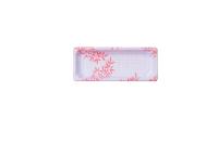 China Packaging wholesale disposable food packaging plastic container pet takeaway sushi packaging box/tray for sale