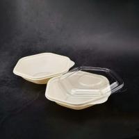 China New Hexagonal Salad Takeout Box Launch | Trendy 