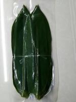 China Vacuum Packed 23cm Fresh Bamboo Leaves For Rice Dumplings for sale