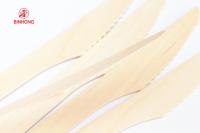 China Natural Birch Wood Spoon Forks Knives Disposable Biodegradable Cutlery Bulk for sale