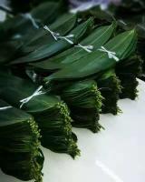 China Pollution Free 7cm Fresh Bamboo Leaves For Decorating Sushi for sale