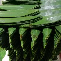 China 100% Nature Green ISO9001 Bamboo Dropping Leaves for sale