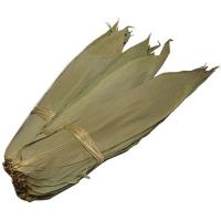 China Natural Green Active Polysaccharide 35cm Fresh Bamboo Leaves for sale