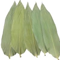 China Eco Friendly 33cm Fresh Bamboo Leaves For Sushi Food for sale