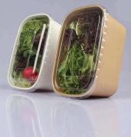 China Square SGS Paper Take Away Box Biodegradable Disposable for sale