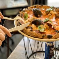 China Biodegradable CPLA Knife Spoon And Fork For Lunch for sale