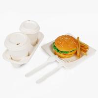 China Disposable Compostable Takeaway Bagasse Food Tray for sale
