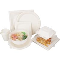China Disposable Compostable Takeaway Bagasse Food Tray for sale