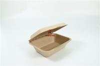 China Sugarcane Desechables Fast Food Packaging Box Biodegradable Compostable for sale