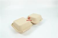 China Clamshell Biodegradable Take Away Box Sustainable Fast Food Packaging for sale
