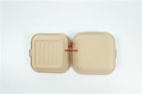 China Clamshell Biodegradable Take Away Box Sustainable Fast Food Packaging for sale