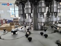 China Compressed Air Vial Filling Line PLC Bus Control Stainless Steel Construction for sale