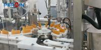 China Adjustable Labeling and Bottle Positioning in Efficient Diagnostic Reagent Filling Line for sale