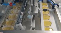 China Highly Efficient Petri Dish Filling Machine with HMI and Servo Technology Cap Closure for sale