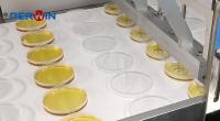 China Efficient Petri Dish Filling Apparatus Filling Volume 4ml-70ml Servo Technology Control for sale