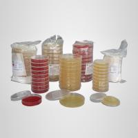 China Automatic Petri Dish Filling Machine 4000BPH with Nozzle Heating System for sale