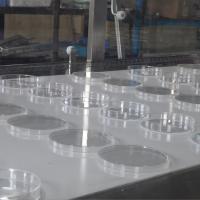 China Automatic Petri Dish Filling Machine 4000BPH with Nozzle Heating System for sale