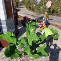 China Garden Plant Sculpture Large Simulated Cabbage FRP Statue for Farm Park for sale