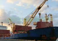 China Marine Cargo Crane 20T Capacity 30M Outreach Electro-Hydraulic 90KW 440V for sale