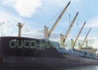 China Marine Cargo Crane 20T Capacity 30M Outreach Electro-Hydraulic 90KW 440V for sale