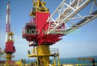 China 40t Harbour Hoisting Machine Lattice Fixed Stiff Boom Crane for Bulk Carrier 30m Radius for sale