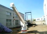 China Slewing Hydraulic Deck Crane 60m/min Lowering Speed for Rescue Boat Life Raft 14kN for sale