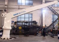China 5T Electric Stiff Boom Marine Crane 6m Working Radius Small Type 415V for sale