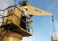 China Stiff Boom Cargo Crane 5T 13.5M SWL for Ship Deck 360 Degree Rotation for sale