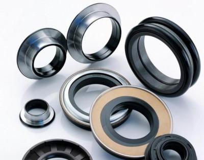 China Rubber O Ring Auto Spare Parts Oil Seal Fuel Seal Heat Resistant Custom Size 40x62x12 for sale