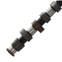 China Forged Steel Engine Camshaft 028109101D 028109101G for VW T5 - 25-30 Day Delivery - CNC Precision Manufacturing for sale