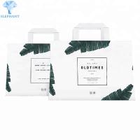 China Rigid Glossy White Laminated Gift Bags Offset Printing Book Packaging for sale