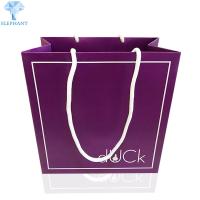 China Luxury Hot Stamping Kraft Paper Gift Bags With Handles PMS Printing for sale